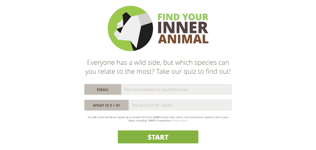 How to Build an Email List Fast from Scratch in 2022 - OptiMonk Blog