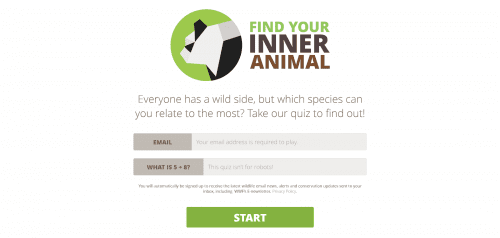 How To Build An Email List Fast From Scratch In 2022 Optimonk Blog