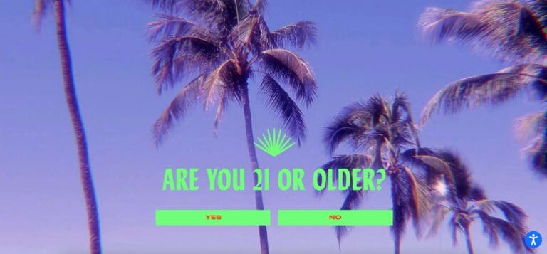 How to Add An Age Verification Popup to Your Website - OptiMonk Blog