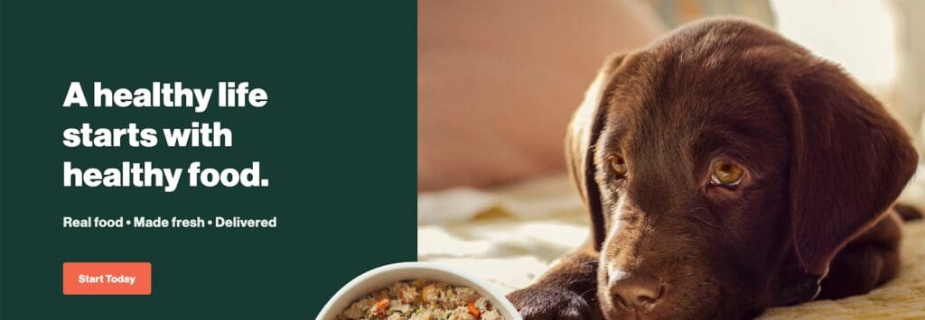 What are the Best Call-to-Action Button Colors? - OptiMonk Blog