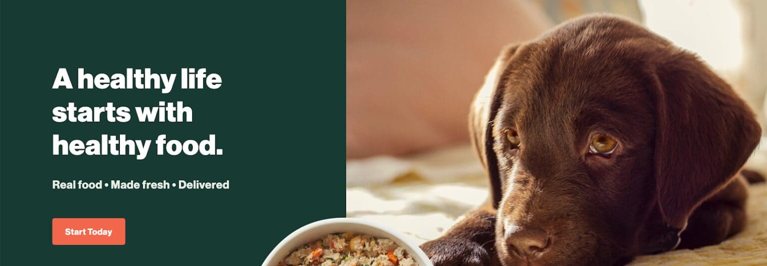 What are the Best Call-to-Action Button Colors? - OptiMonk Blog