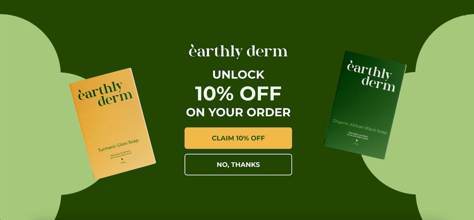 What is a Full-Screen Popup? With Examples & Templates - OptiMonk Blog