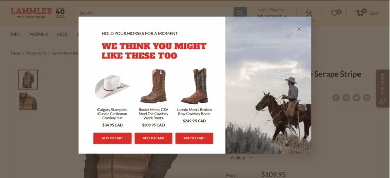 A Collection of The Best Popup Examples Ever: 20+ Real-Life Popups