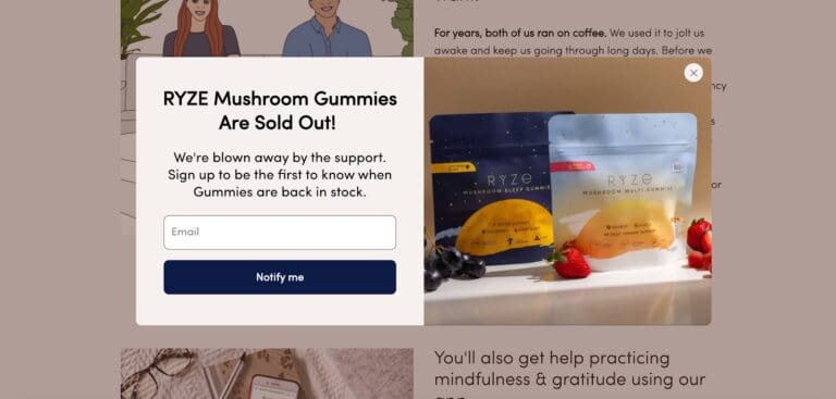 What is a Landing Page Popup & How to Use It Effectively - OptiMonk Blog