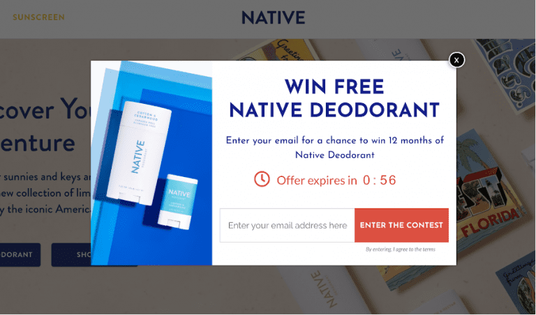 Ecommerce Homepage Design Best Practices with 21 Examples - OptiMonk Blog