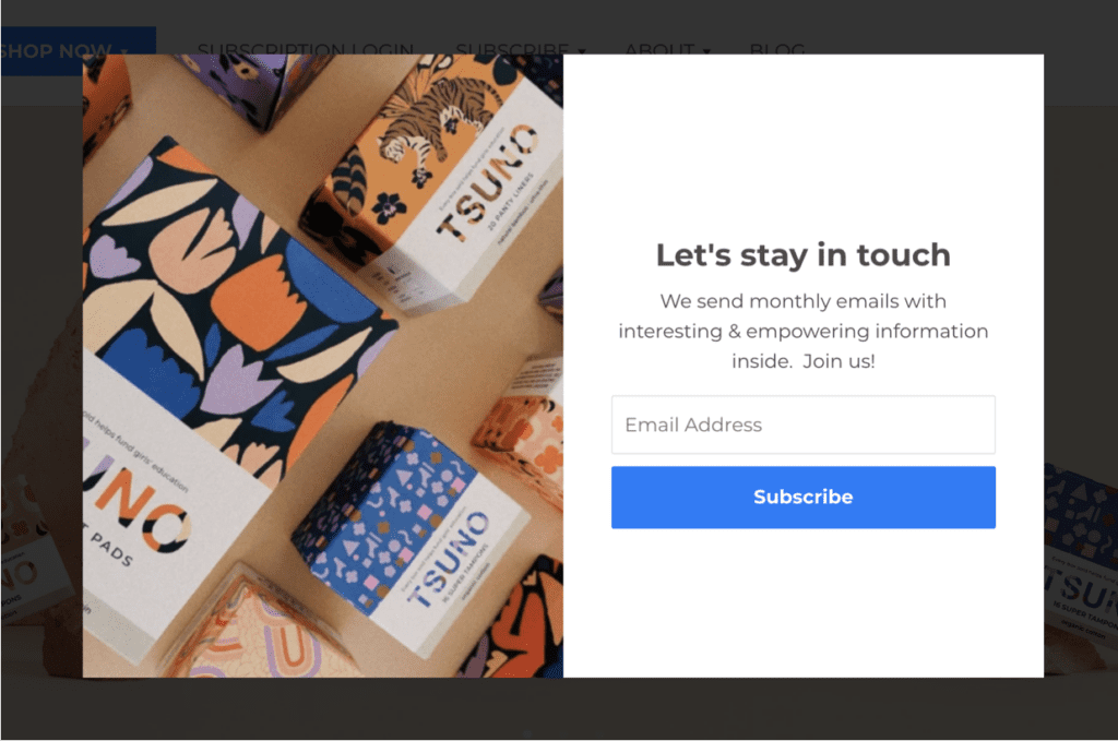 How to Set Up a Shopify Newsletter Popup in 5 Easy Steps - OptiMonk Blog
