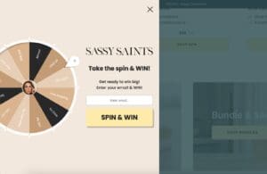 10 Opt-In Form Examples & Templates That Will Grow Your Subscriber List ...