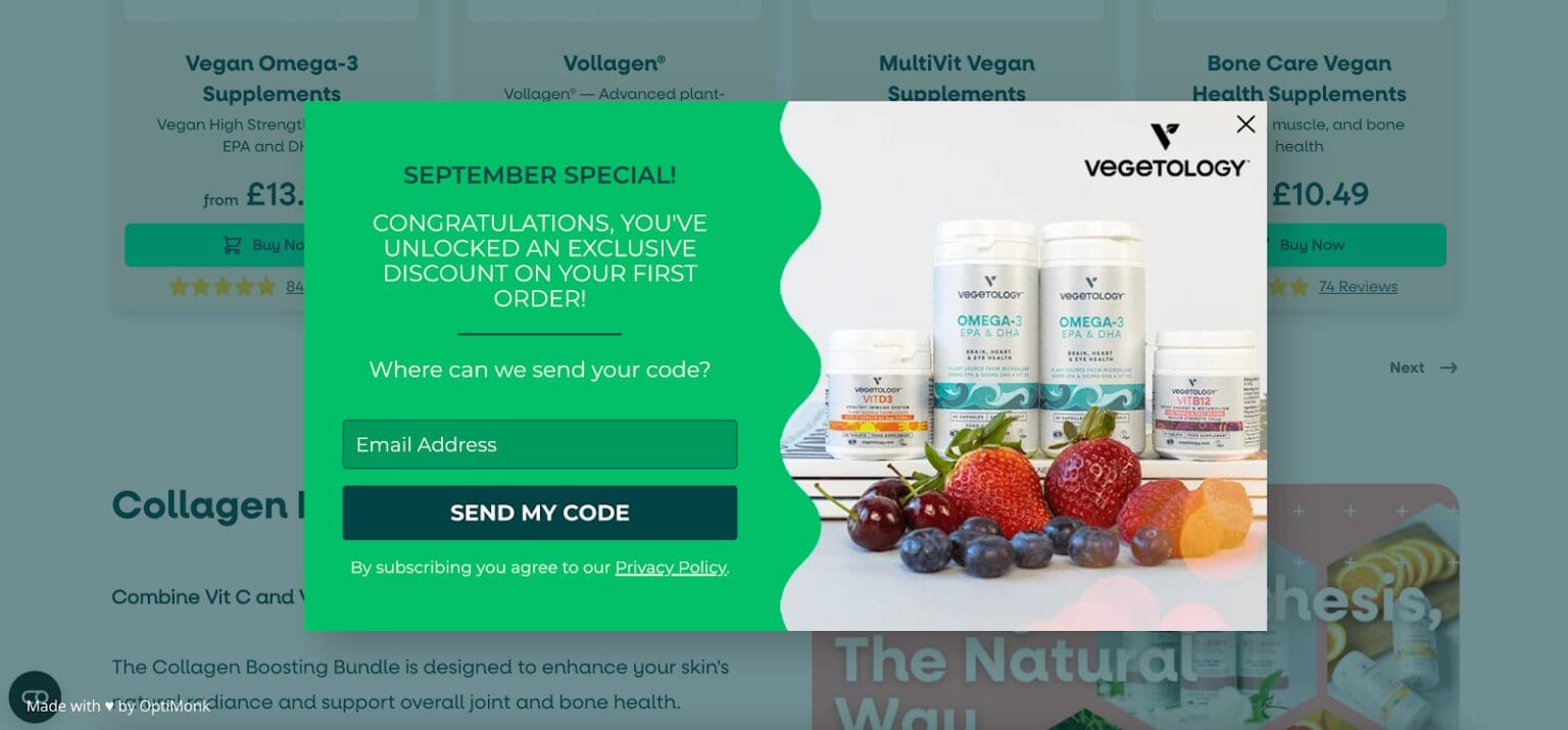 10 Opt-In Form Examples & Templates That Will Grow Your Subscriber List ...