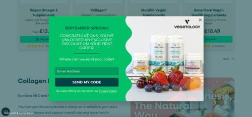 10 Opt-In Form Examples & Templates That Will Grow Your Subscriber List ...