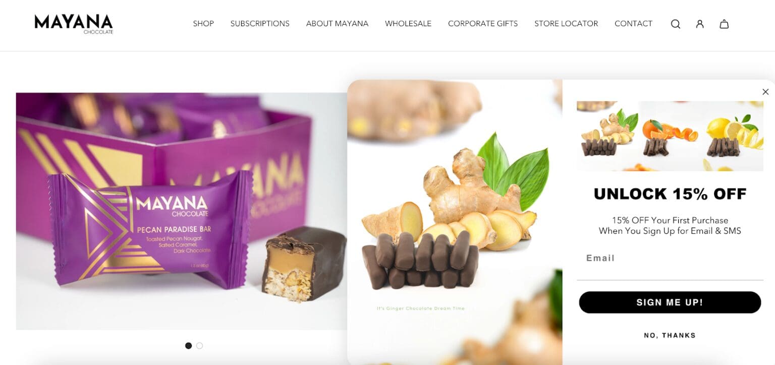 10 Opt-In Form Examples & Templates That Will Grow Your Subscriber List ...