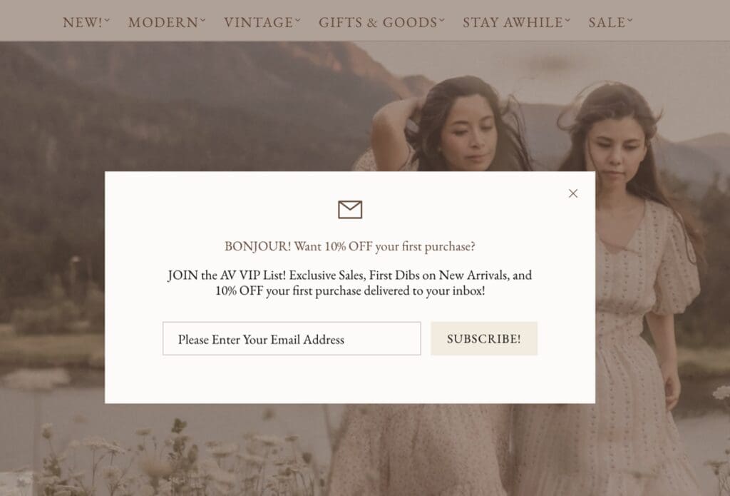 What Is an Opt-In Pop-Up? 7 Examples & Tips on How to Create One