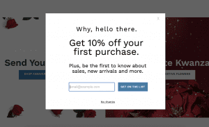 Popup Design Playbook: 35+ Stunning Examples, Templates, and Tips