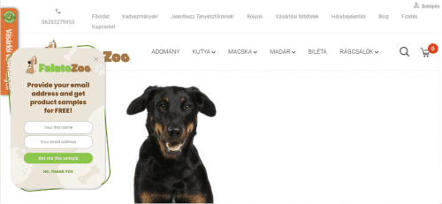 The Ultimate Guide to Creating High-Converting Popups in 2025 - OptiMonk Blog