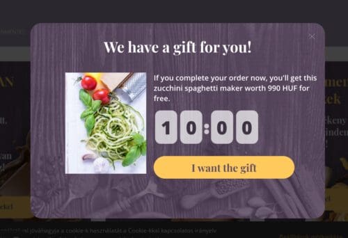 7 Countdown Timer Popup Examples & Tips on How to Create One - OptiMonk ...