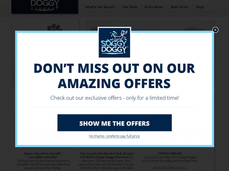 19 Discount Popup Examples to Maximize Conversions in 2025 - OptiMonk Blog