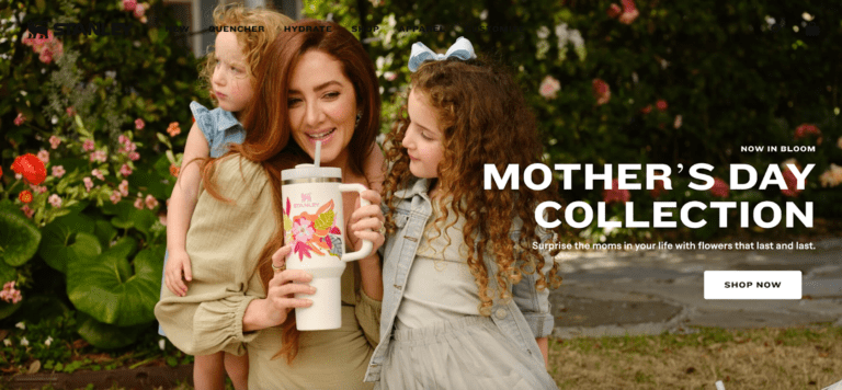 Stanley's Rise to $750M: How a 100-Year-Old Brand Thrived in the ...