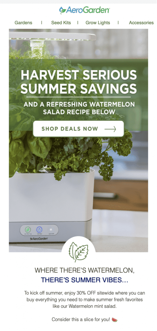Best Strategies to Get Summer Email Subject Lines Opened - OptiMonk Blog