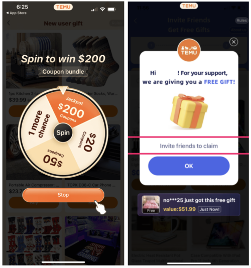 Beating Temu: Strategies for Shopify Stores to Stay Ahead