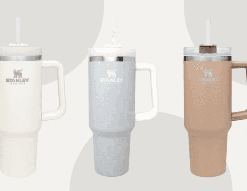 Stanley's Rise to $750M: How a 100-Year-Old Brand Thrived in the ...