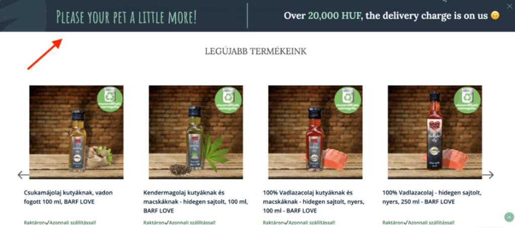 13 Website Announcement Bar Examples for Ecommerce Stores