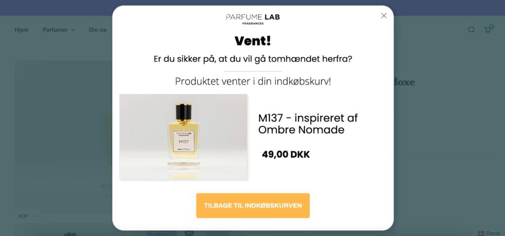 12 Effective Website Popup Ideas That Will Skyrocket Your Conversions ...