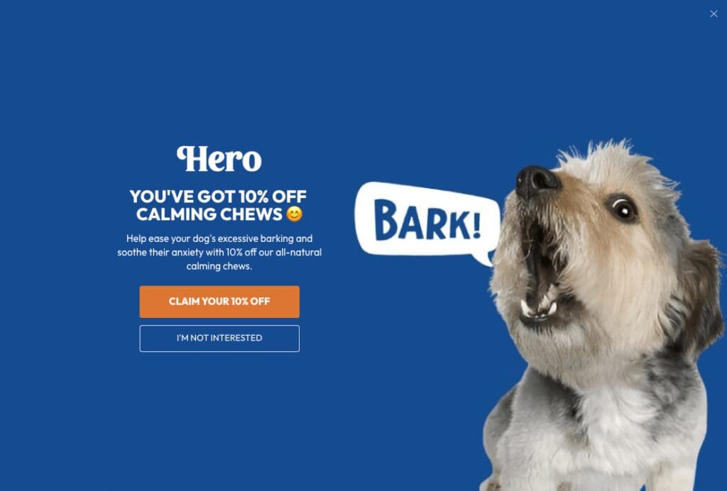 Website Popups Best Practices And Examples Optimonk Blog