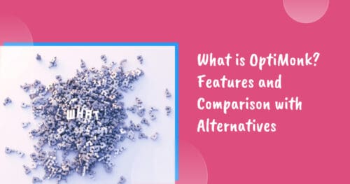 Lead Capture Best Practices 5 Outstanding Examples Optimonk Blog